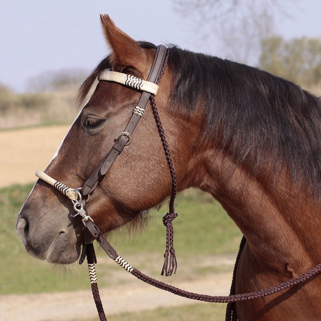 'Acorn' Bitless or Bitted Bridle With Genuine Rawhide – Barefoot ...