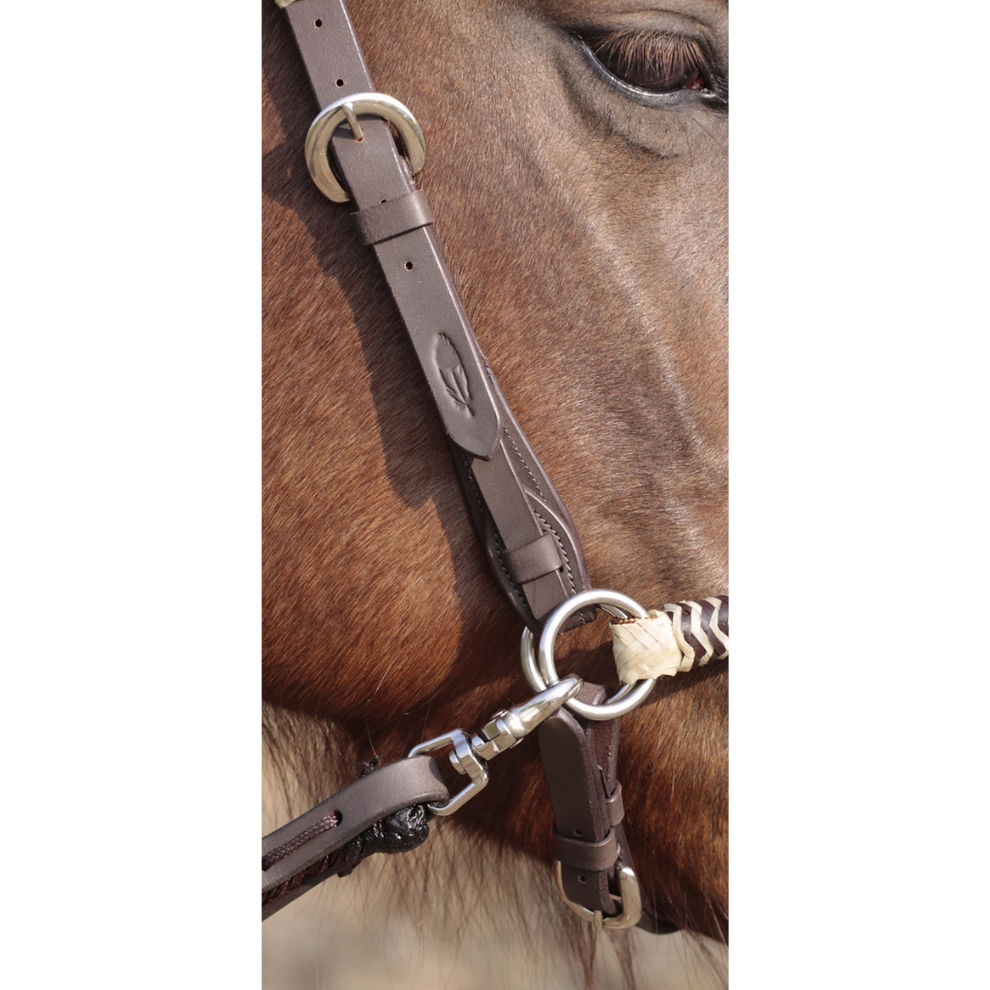 'Acorn' Bitless or Bitted Bridle With Genuine Rawhide – Barefoot ...