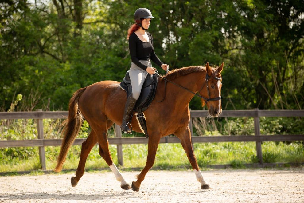 Barefoot® 'Contour Physio' Bitless or Bitted Bridle - Barefoot Saddles ...