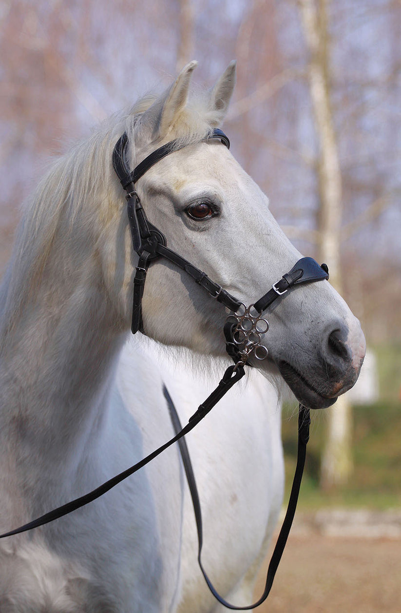 Barefoot® 'Contour Physio' Bitless or Bitted Bridle - Barefoot Saddles ...
