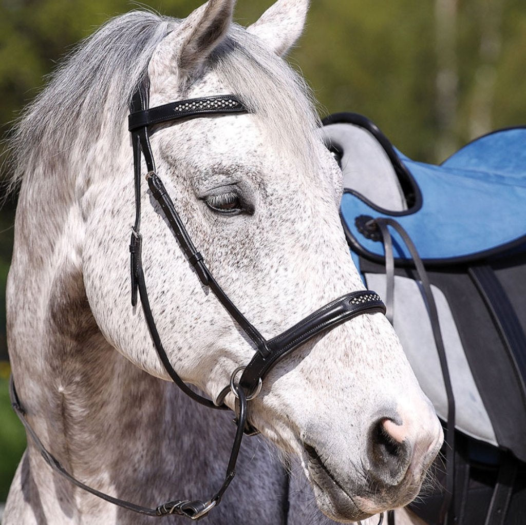 Barefoot® 'Contour Jewel' Bitless Bridle – Barefoot Saddles Australia