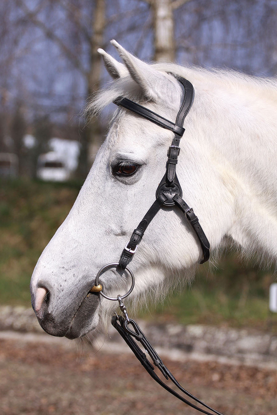 Barefoot® 'Contour Physio' Bitless or Bitted Bridle - Barefoot Saddles ...