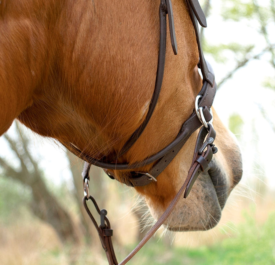 Bitless Bridle 'Walnut' – Barefoot Saddles Australia