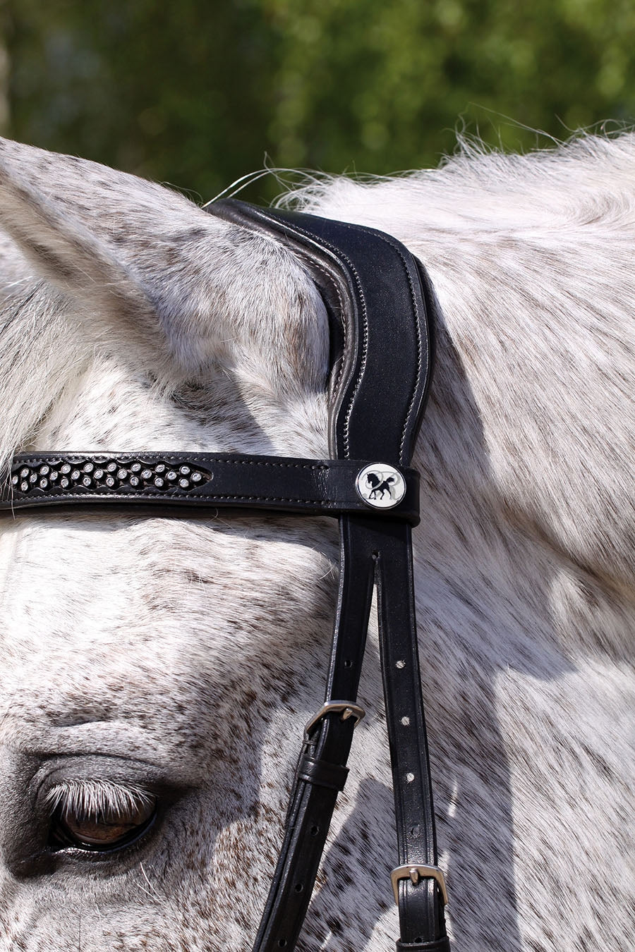 Barefoot® 'Contour Jewel' Bitless Bridle – Barefoot Saddles Australia