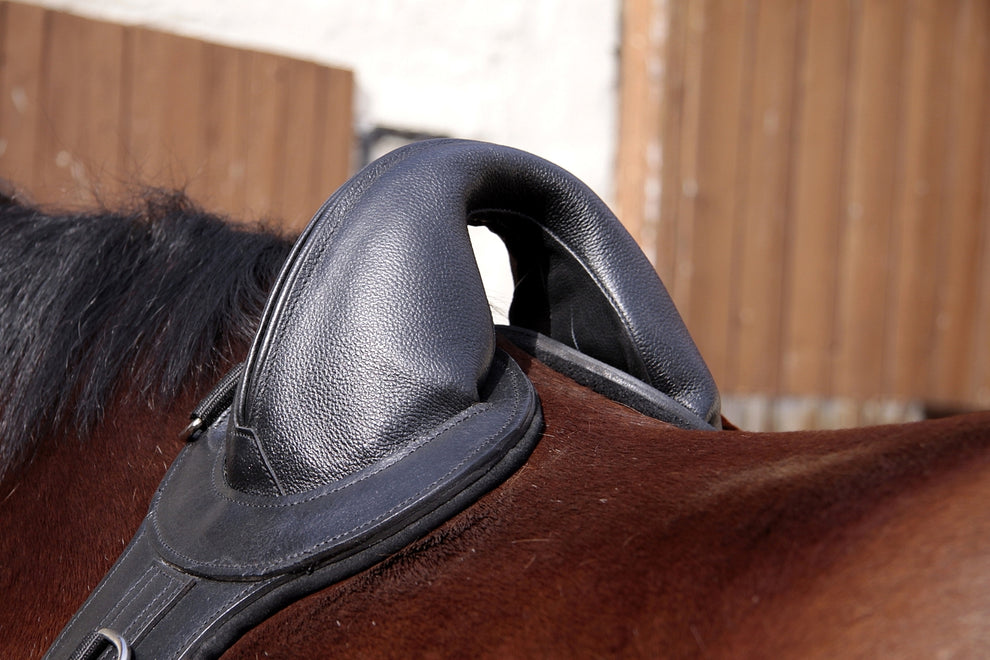 Barefoot® Surcingle, Leather – Barefoot Saddles Australia