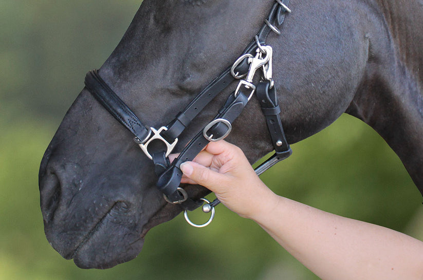 Contour Trail - Bitless or Bitted Marathon/Endurance Bridle – Barefoot ...